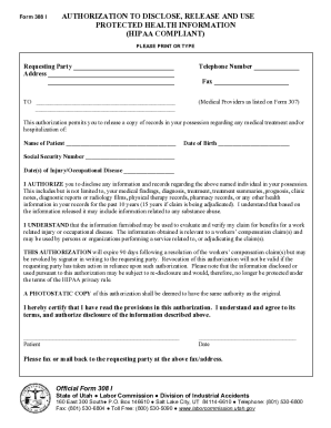Fillable Online Form 308 I. Legal Fax Email Print - pdfFiller