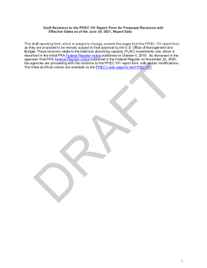 Fillable Online Draft Revisions to the FFIEC 101 Report Form for ...