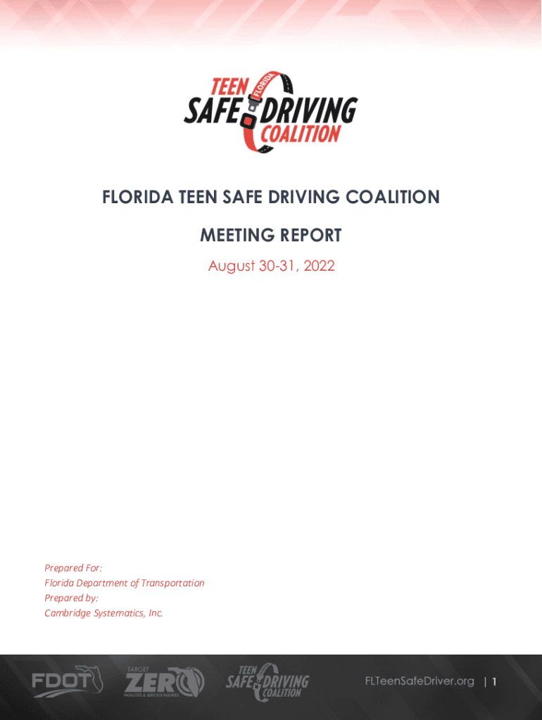 Fillable Online identifying florida's teen traffic safety challenges ...