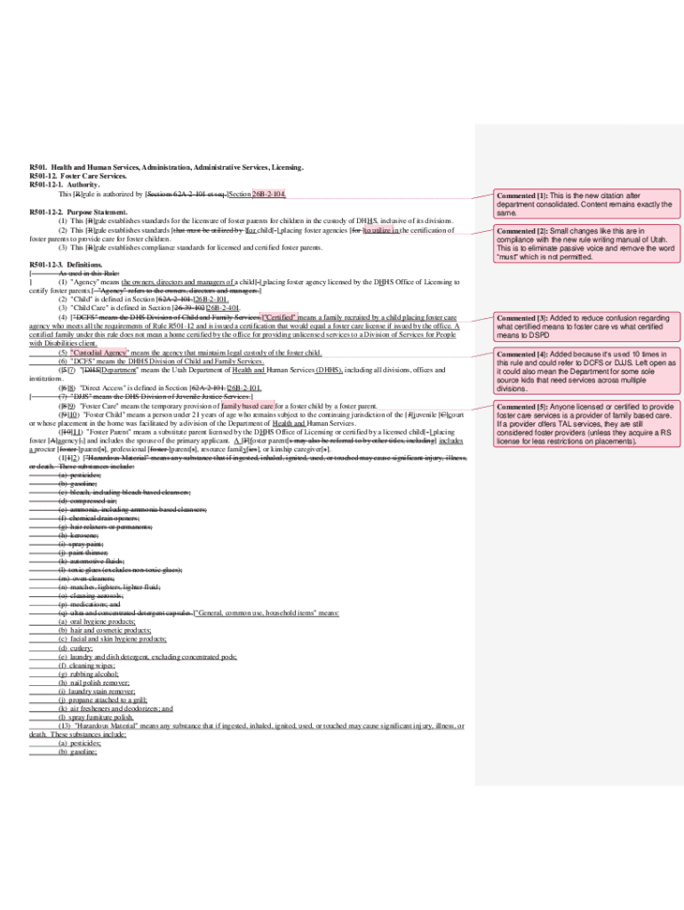 Fillable Online licensing rules for adult foster care large group homes ...