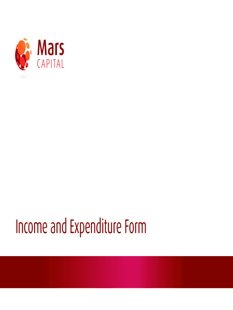 Fillable Online Income and Expenditure form Fax Email Print - pdfFiller