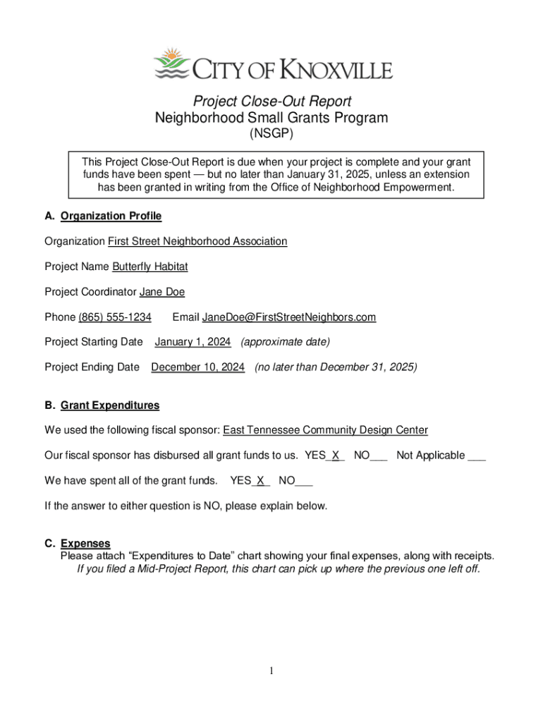 Fillable Online FY 18 NSGP Application Investment Justification ...