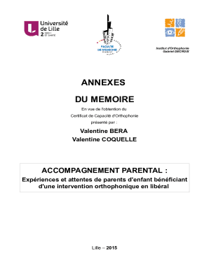 Remplissable En Ligne ANNEXES DU MEMOIRE Fax Email Imprimer - pdfFiller