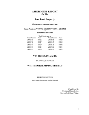 Ocfs Blue Card - Fill Online, Printable, Fillable, Blank | pdfFiller