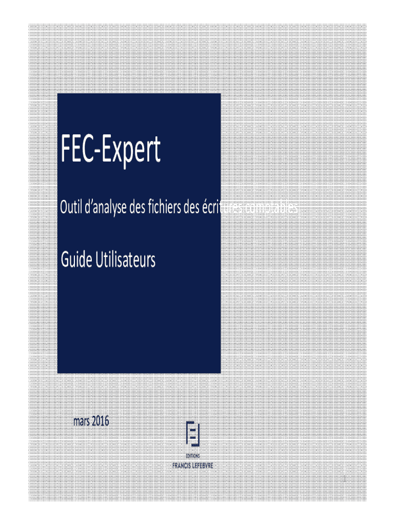 Remplissable En Ligne FEC Expert, outil d'analyse de fichier d'criture ...
