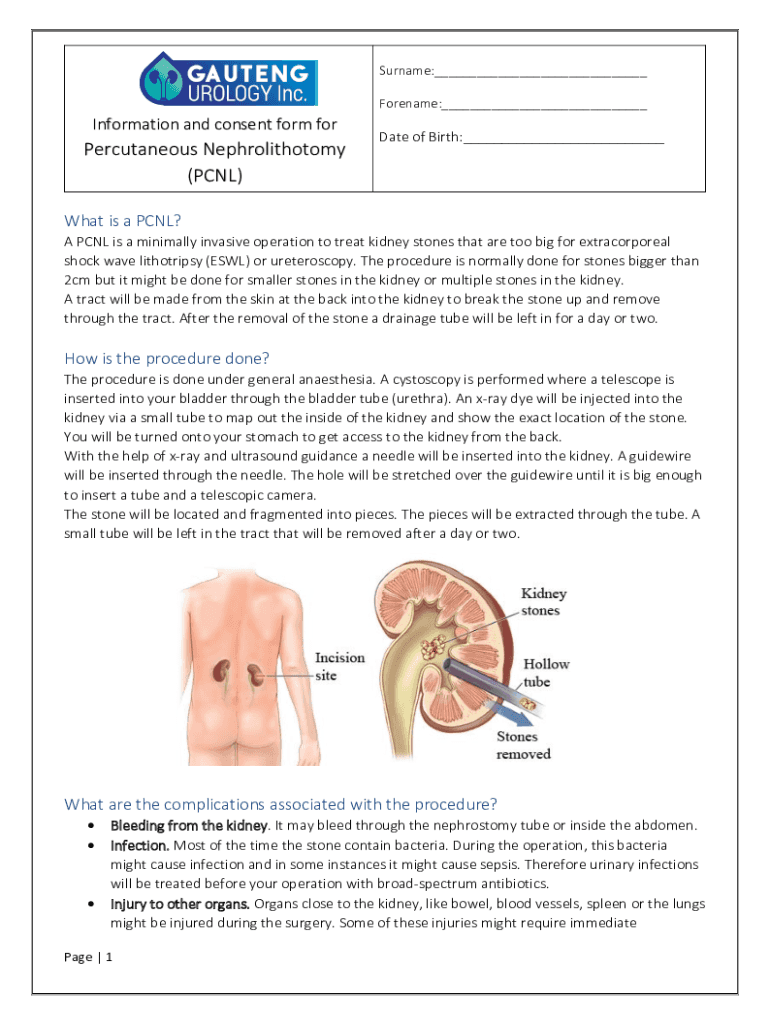 Fillable Online Ultra-mini-percutaneous nephrolithotomy: A minimally ...