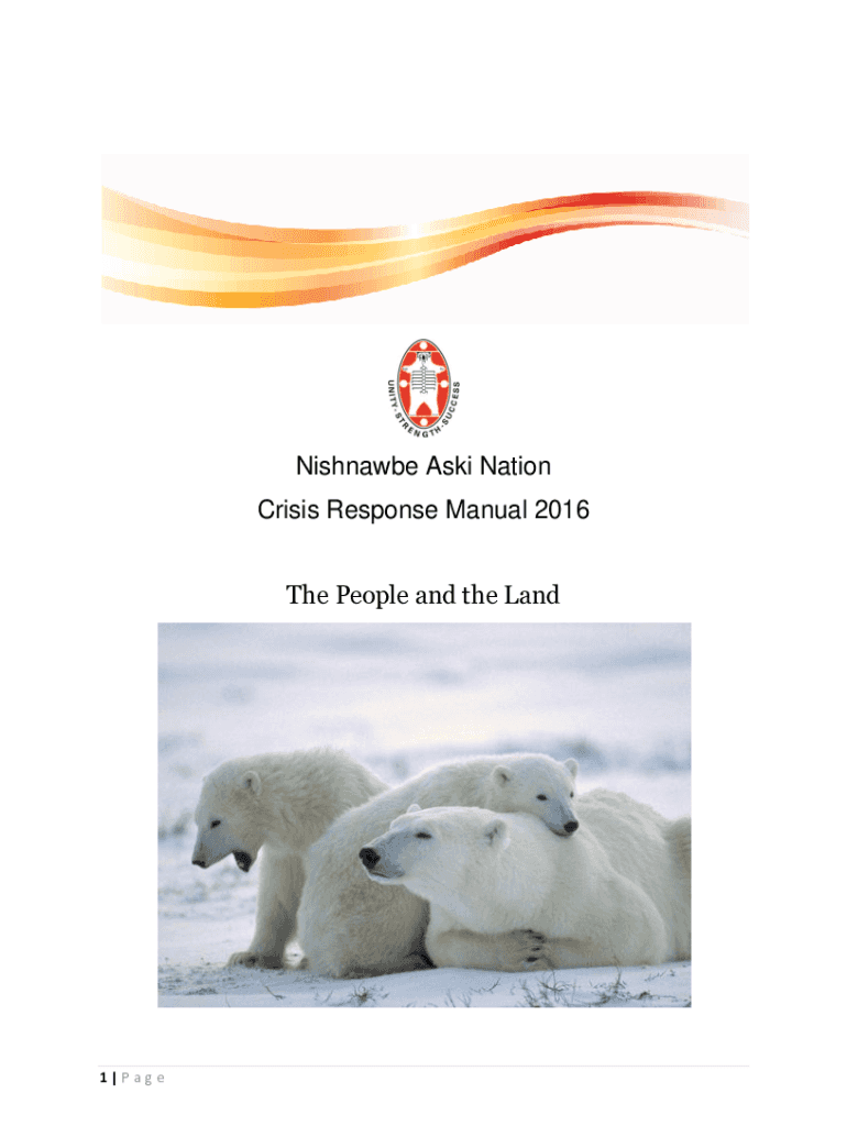 Fillable Online NAN HOPE Mental Health and Addictions Support Access ...