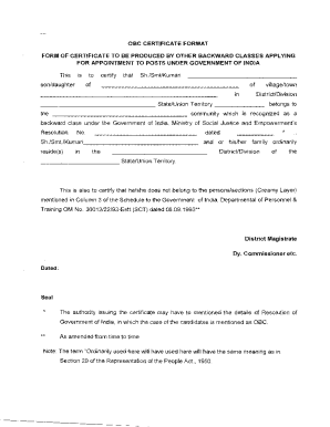 Fillable Online OBC CERTIFICATE FORMAT FORM OF ... Fax Email Print ...