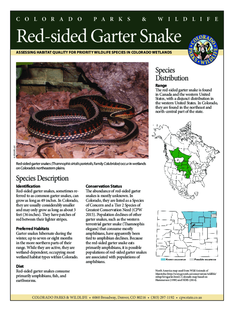 Fillable Online Red-sided Garter Snake - Colorado Natural Heritage ...