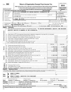 Fillable Online 2018 Form 990 Tax Return.pdf Fax Email Print - pdfFiller