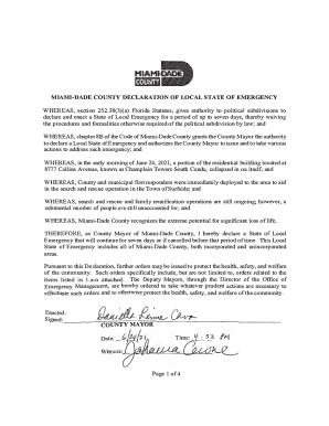 Fillable Online AFFIDAVIT STATE OF FLORIDA ) ) SS ... Fax Email Print ...