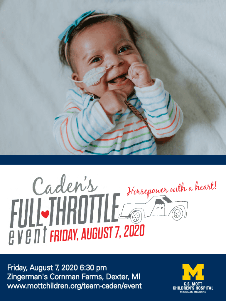 Fillable Online The Debatabase BookPDFArgumentation Theory Fax Email ...