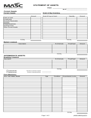 Fillable Online MASC Statement of Assets.xltm. Statement of Assets Fax ...