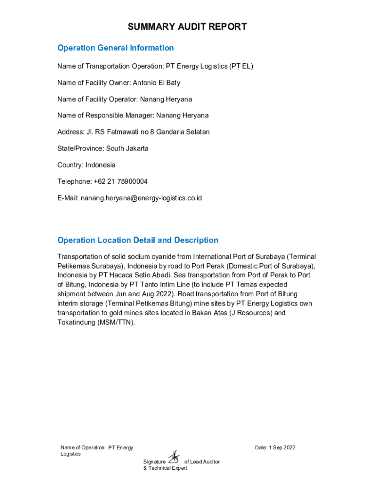 Fillable Online ICMI Transportation SUMMARY AUDIT REPORT (Template ...