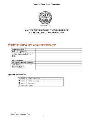 Fillable Online Master Meter Inspection Form.doc Fax Email Print ...