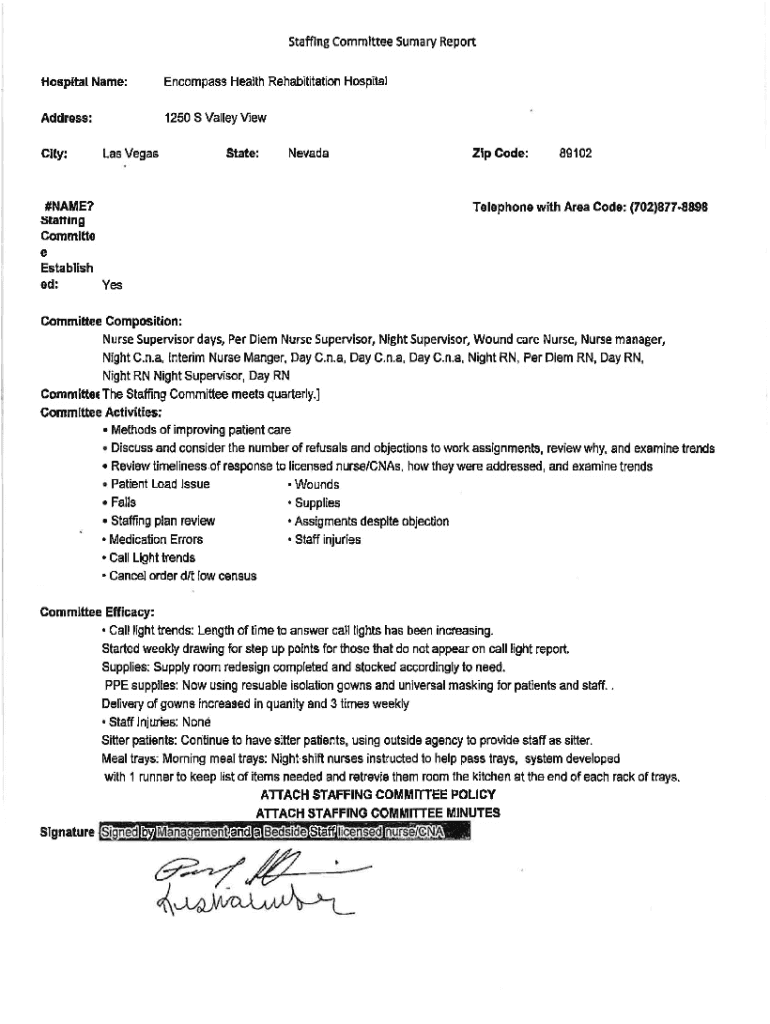 Fillable Online Staffing Committee Summary Report Fax Email Print ...