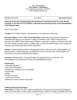 Fillable Online City Council - 2PM Report Fax Email Print - pdfFiller