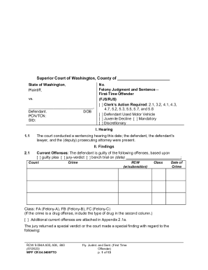 Fillable Online Felony Form: Pre-built template Fax Email Print - pdfFiller
