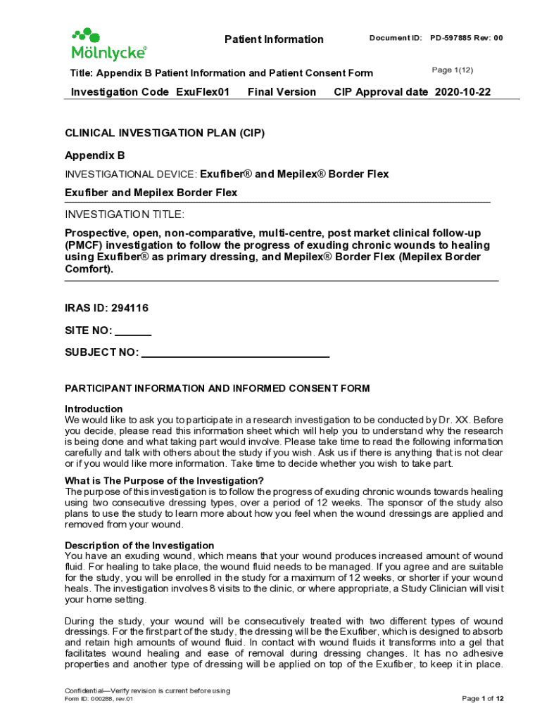 Fillable Online Patient Information. Appendix B Patient Information and ...