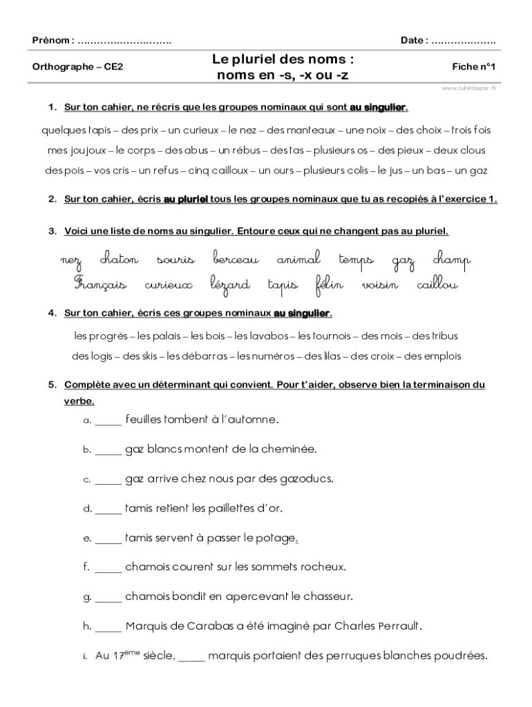 Remplissable En Ligne Le pluriel des noms en Fax Email Imprimer - pdfFiller