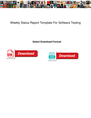 Fillable Online Weekly Status Report Template For Software Testing ...