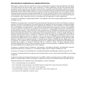 Fillable Online Instructions for Completing SBA Form 2483 1st Draw PPP ...