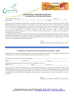 Remplissable En Ligne Autorisation de diffusion d'images dans le cadre ...