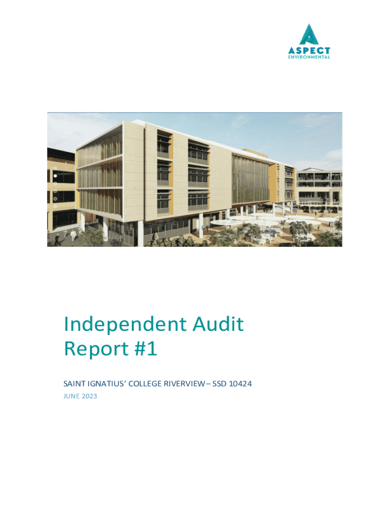 Fillable Online Independent Auditor Report - Meaning, Format & Types ...