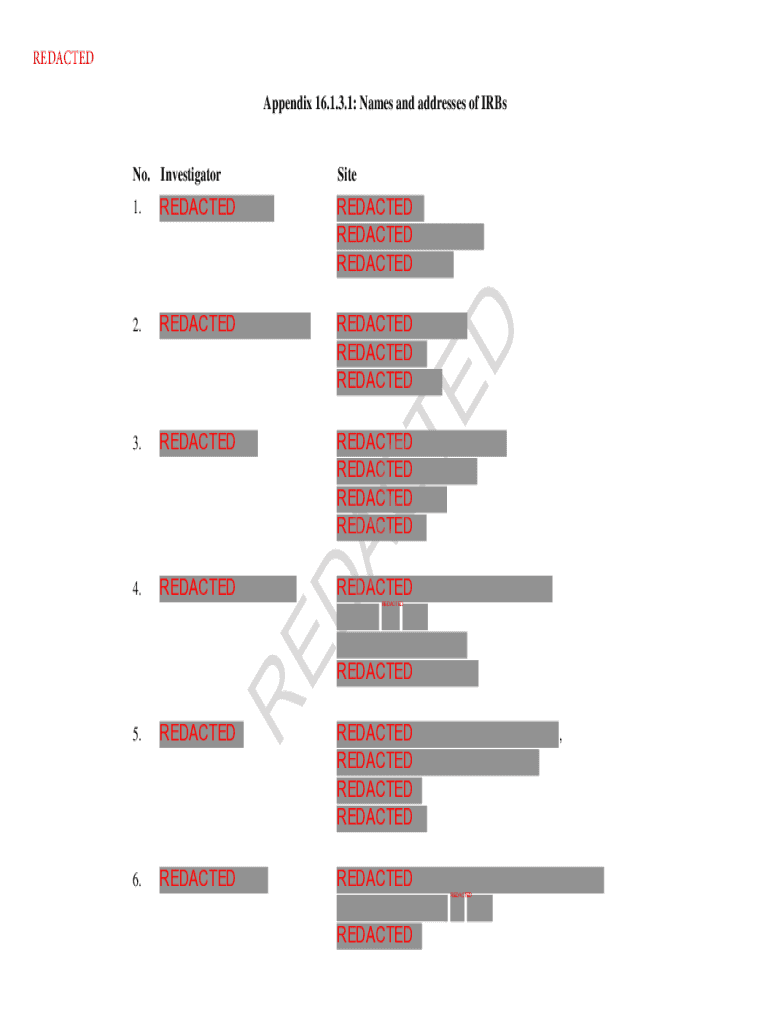 Fillable Online Redacted Statement Annex B-1 Fax Email Print - pdfFiller