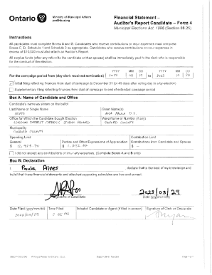 Fillable Online Financial Statement - Auditor's Report Candidate - Form ...