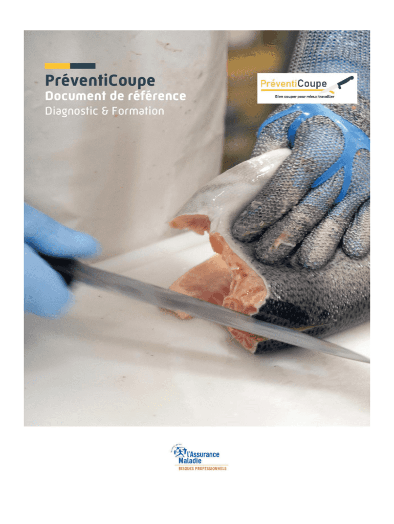 Remplissable En Ligne document de rfrence "diagnostic et formation Fax Email Imprimer - pdfFiller