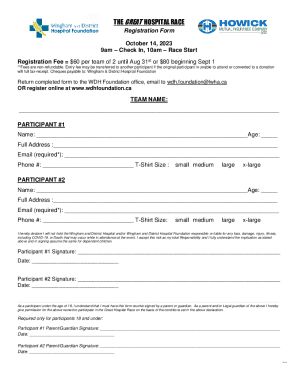 Fillable Online THE GREAT HOSPITAL RACE Fax Email Print - pdfFiller
