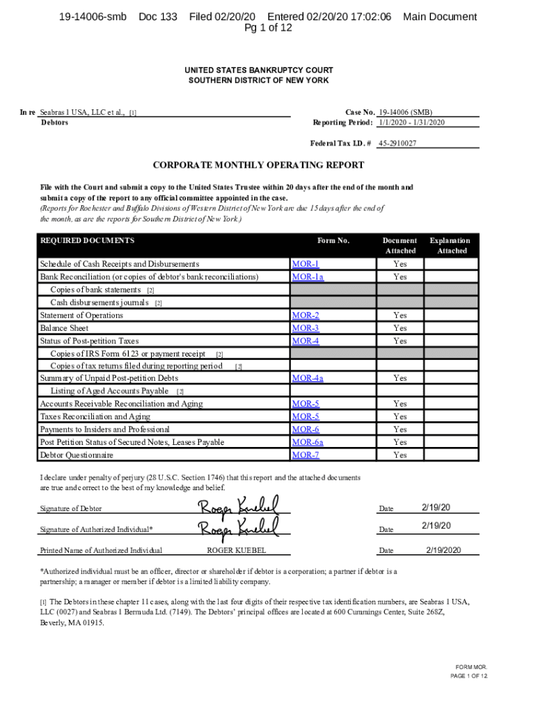 Fillable Online Seabras 1 USA LLC Form MOR - JAN-20 20.02.19.xlsx-Group ...