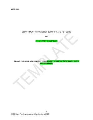 Fillable Online SICE Grant Funding Agreement Template Fax Email Print ...