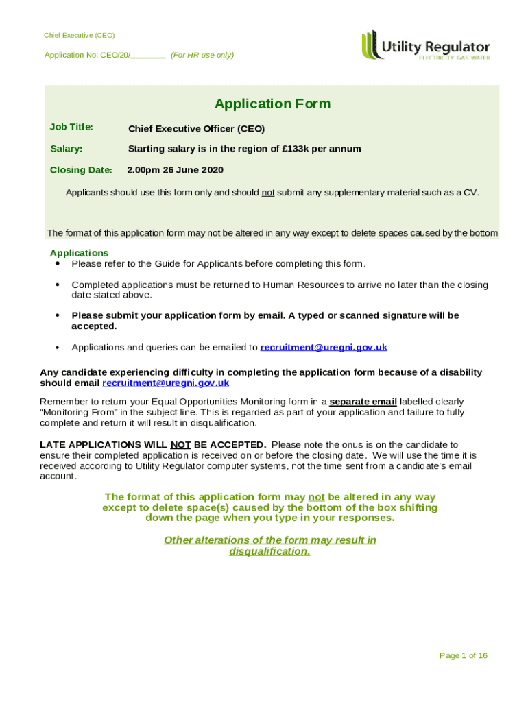 Chief Executive Officer (CEO) Doc Template | pdfFiller