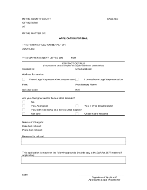 Fact Sheet: The Bail Process Doc Template | pdfFiller