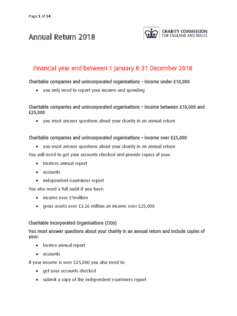 Fillable Online Annual return (CY) Fax Email Print - pdfFiller