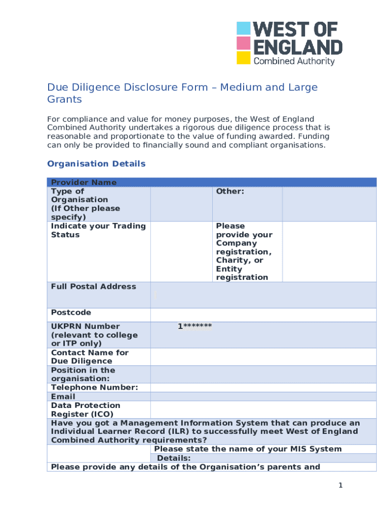 Due Diligence Disclosure Medium and Large Grants Doc Template | pdfFiller