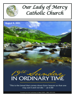 Fillable Online Vision, Values & OLM Game Plan - Our Lady of Mercy Fax ...