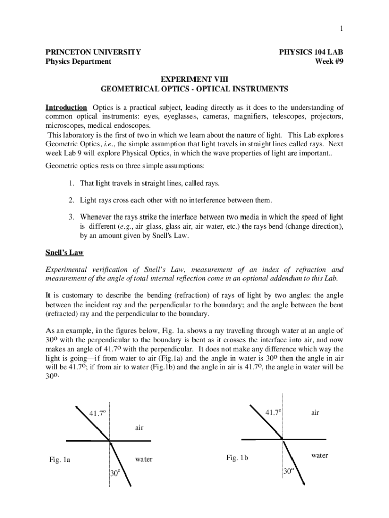 Fillable Online 1 PRINCETON UNIVERSITY PHYSICS 104 LAB Physics ... Fax ...