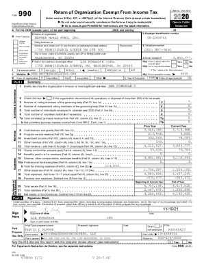 Fillable Online BWF - 2020 Form 990 - FINAL (003).pdf Fax Email Print ...
