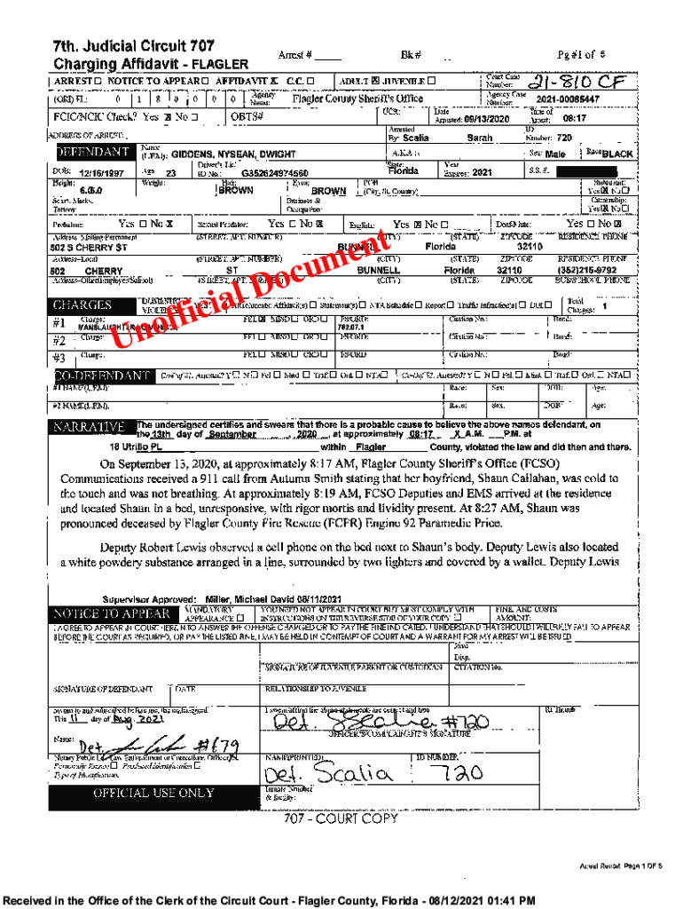 Fillable Online Judicial Circuit 707 Charging Affidavit Volusia ARREST ... Fax Email Print ...