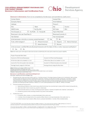 Fillable Online development ohio Borrowers Information and ...