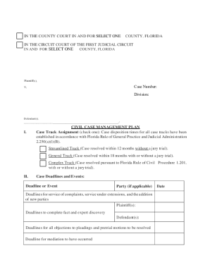 Fillable Online 1st Judicial Circuit Case Managment Order. Civil ...