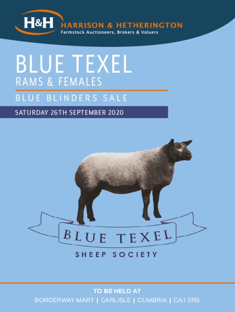 Fillable Online Blue Texelsthe terminal sire sheep breed for the future ...