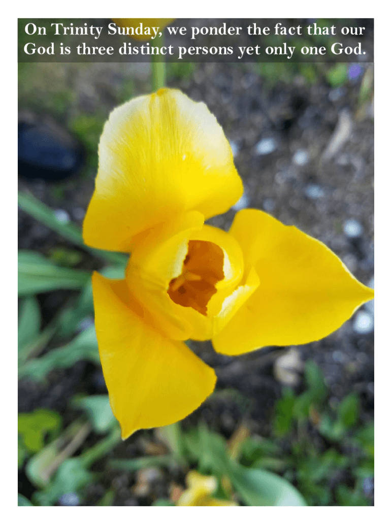 Fillable Online In Honor of the Triune God: One God, Three Persons Fax ...