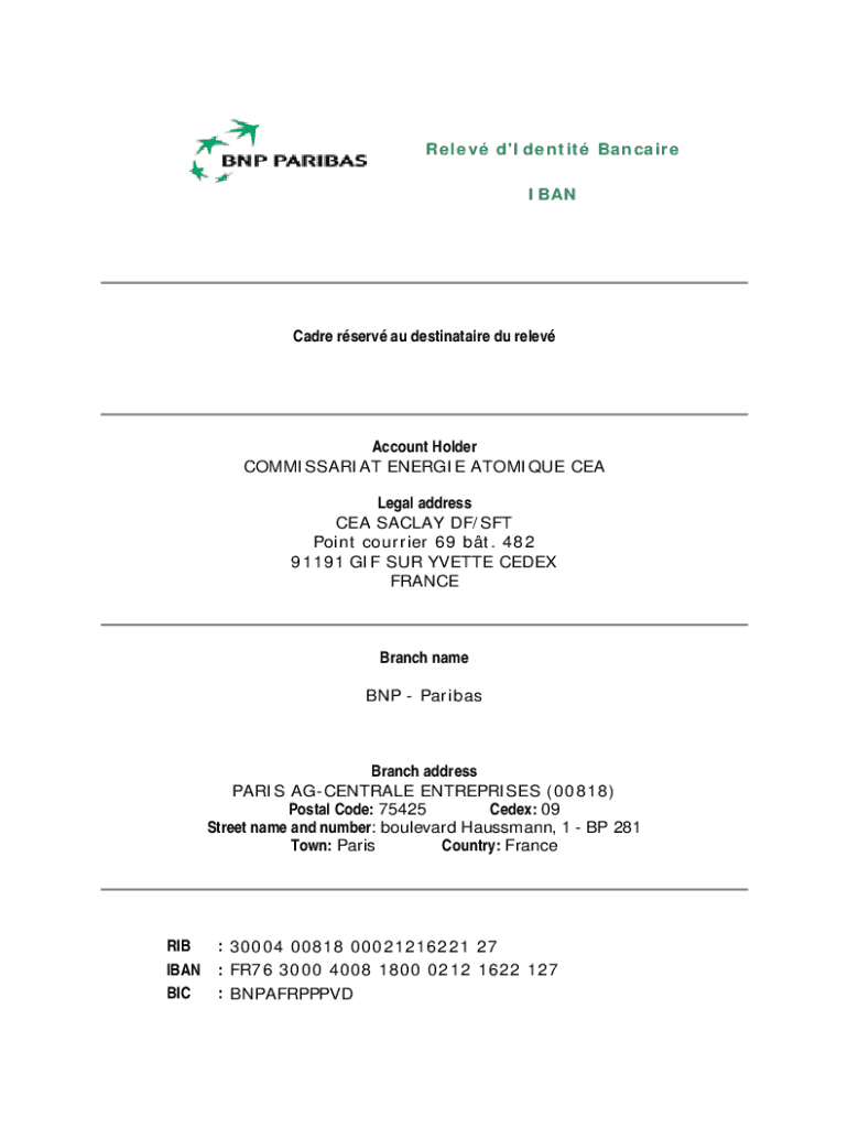 Remplissable En Ligne Relev d'Identit Bancaire IBAN Fax Email Imprimer ...