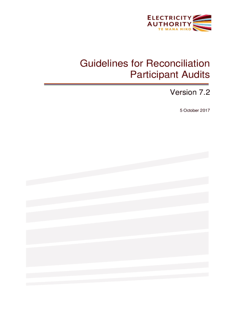 Fillable Online Long-form report. Guidelines for Reconciliation ...