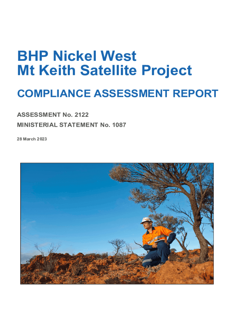 Fillable Online Statement 1087.pdf Fax Email Print - pdfFiller