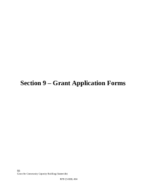 IFS Application Guidelines - For Basic and Renewal Grants Doc Template ...